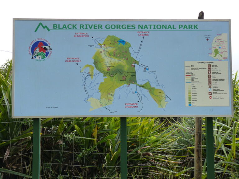 Black River Gorges National Park: Mauritius' Wilderness Gem